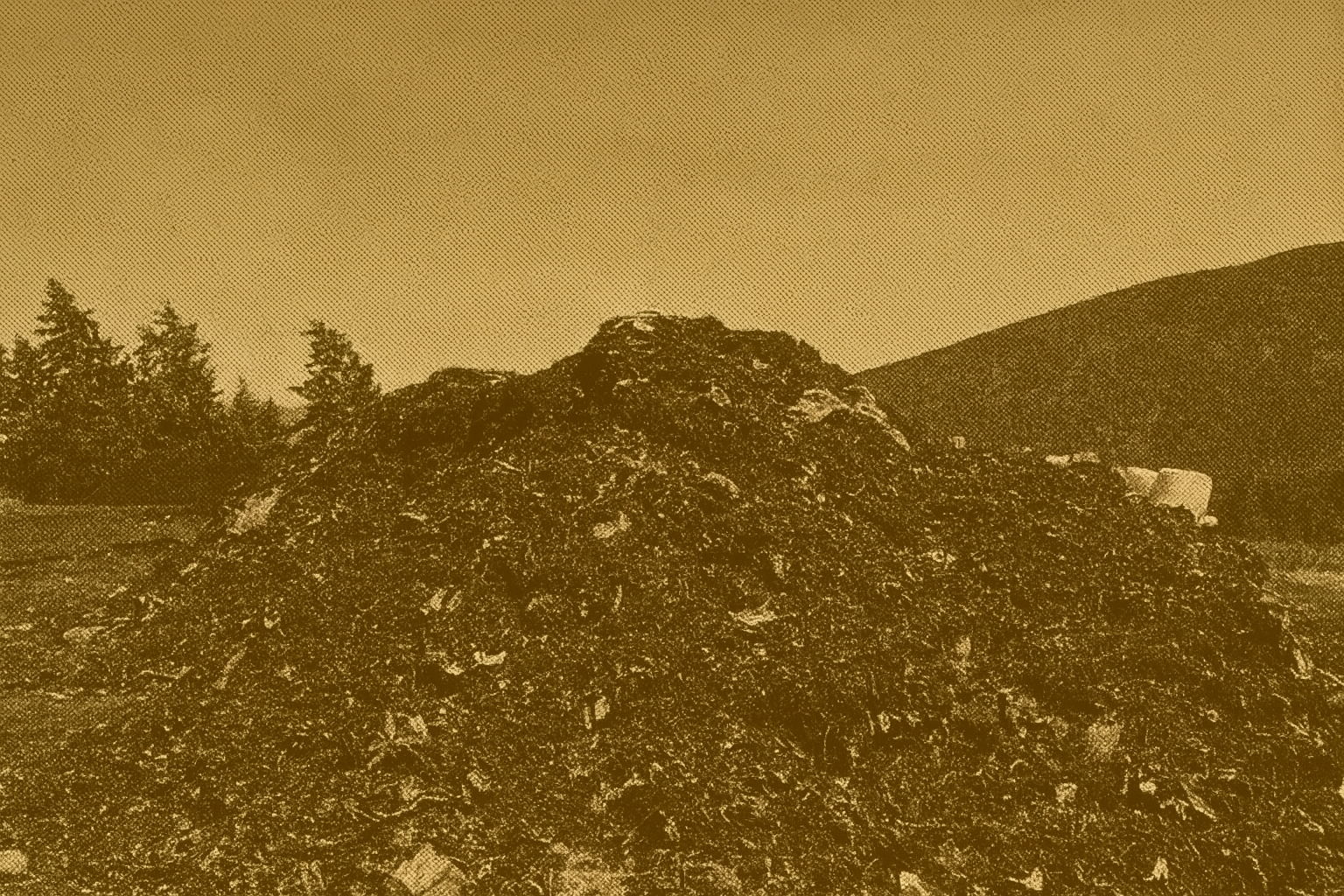 CSRD Sues North Okanagan Compost Facility Over Zoning